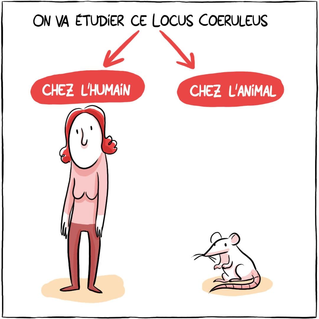 Maltraitances durant l'enfance : comprendre les mécanismes de ...