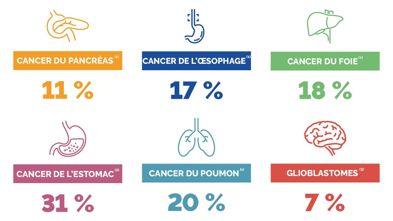 Cancer : faire un don pour la recherche - FRM | Fondation pour la ...