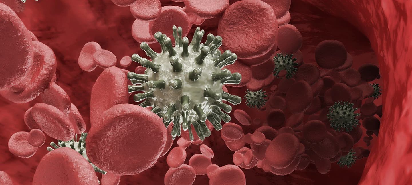 Sida : comprendre la propagation des virus entre les cellules du ...