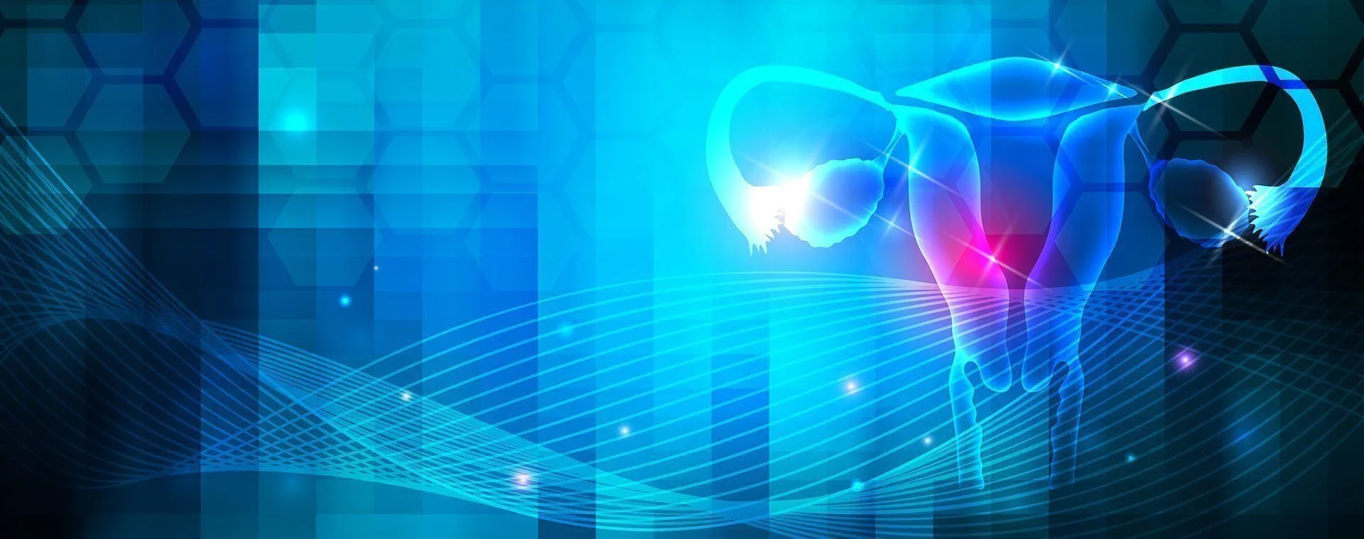 Cancer de l'ovaire : l’oestradiol limiterait la progression ...